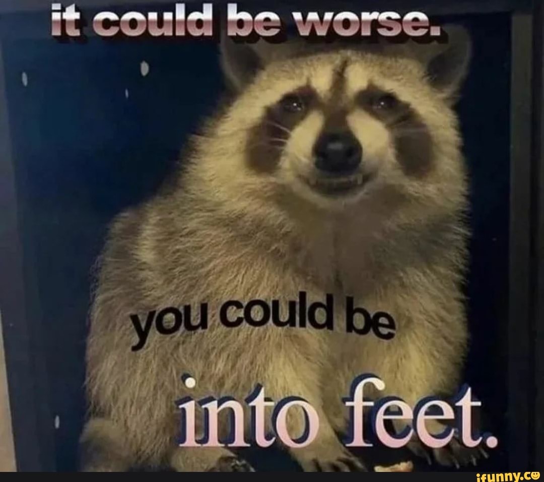 It Could Be Worse Meme