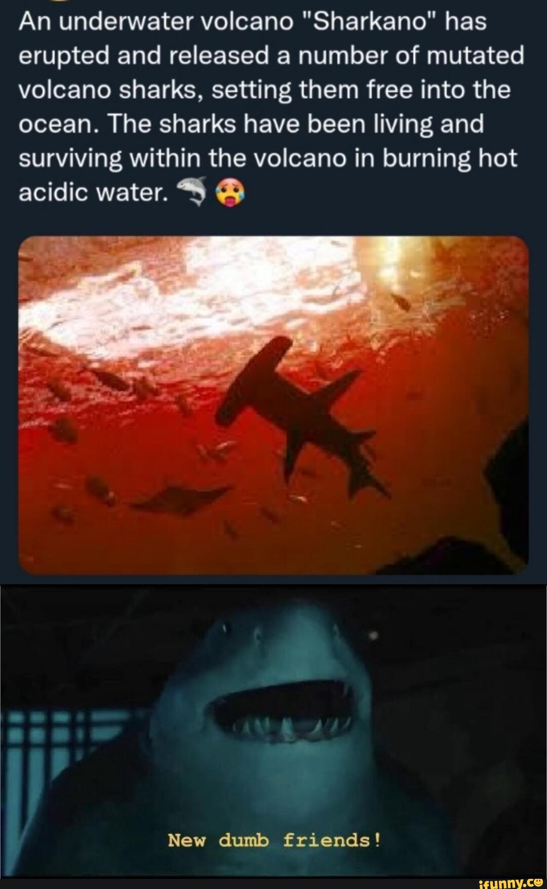 An underwater volcano "Sharkano" has erupted and released a number of ...