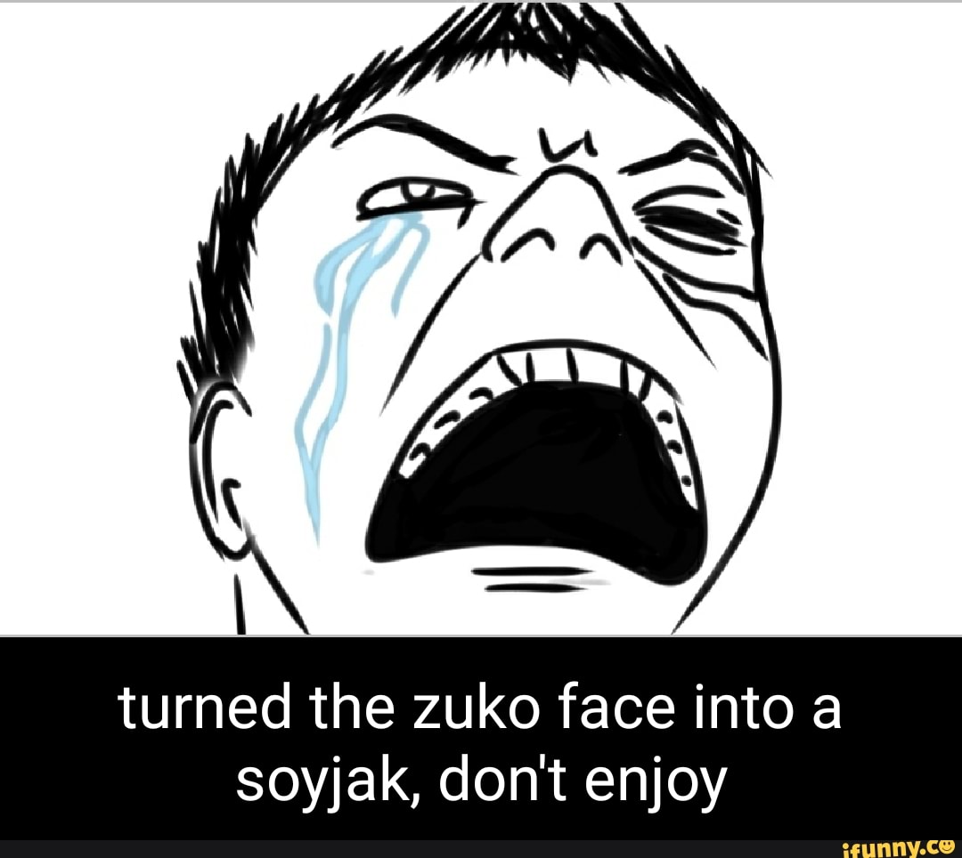 Turned the zuko face into a soyjak, don't enjoy - iFunny Brazil