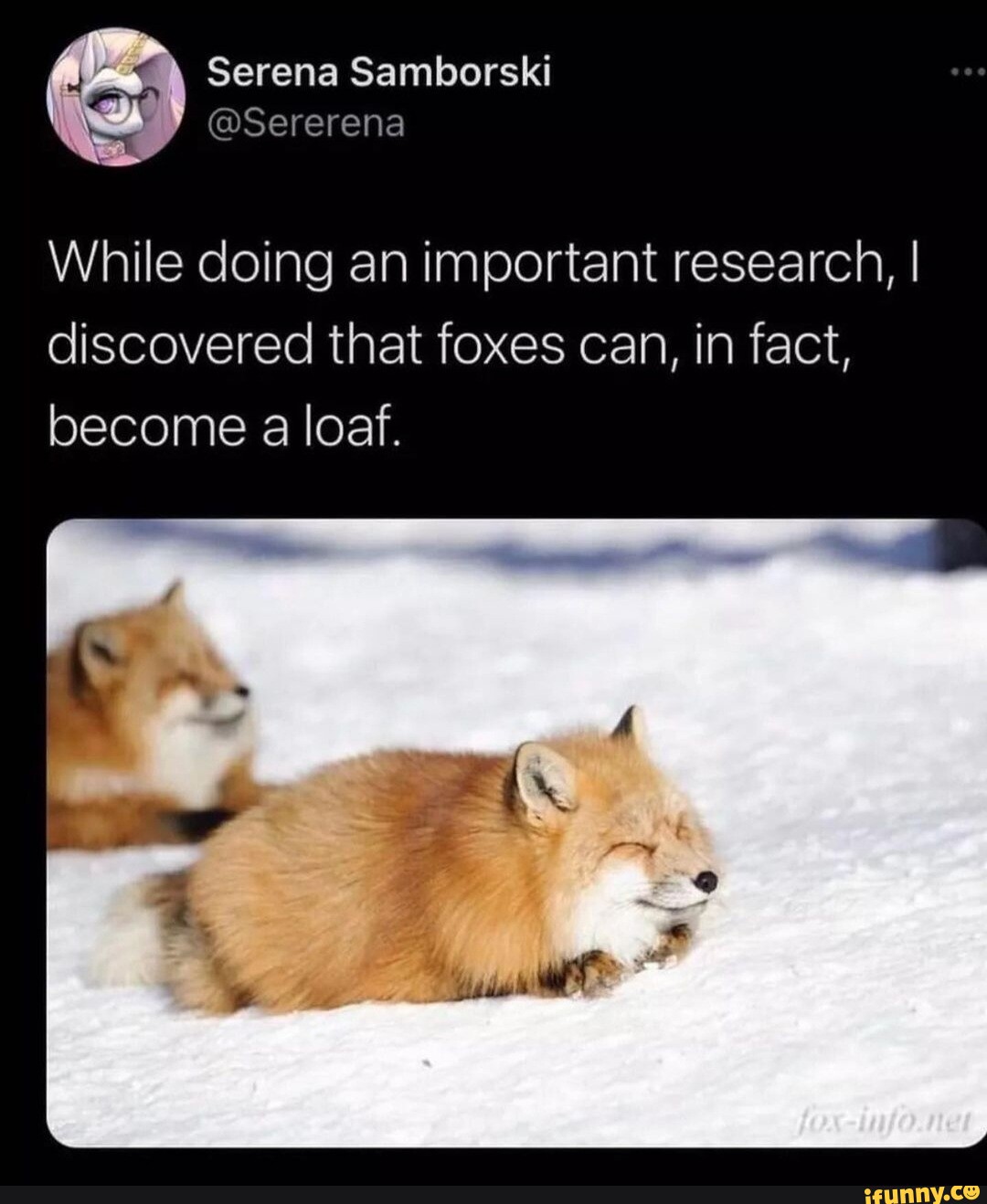 Serena Samborski While doing an important research, I discovered that ...