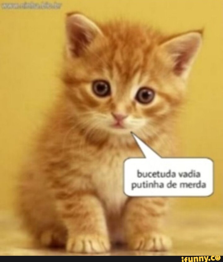 Bucetuda Vadia Putinha De Merda Ifunny Brazil