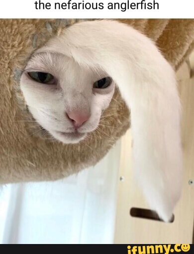 The nefarious anglerfish - iFunny Brazil