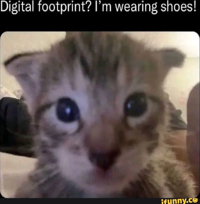 Digital footprint? I'm wearing shoes! af - iFunny Brazil