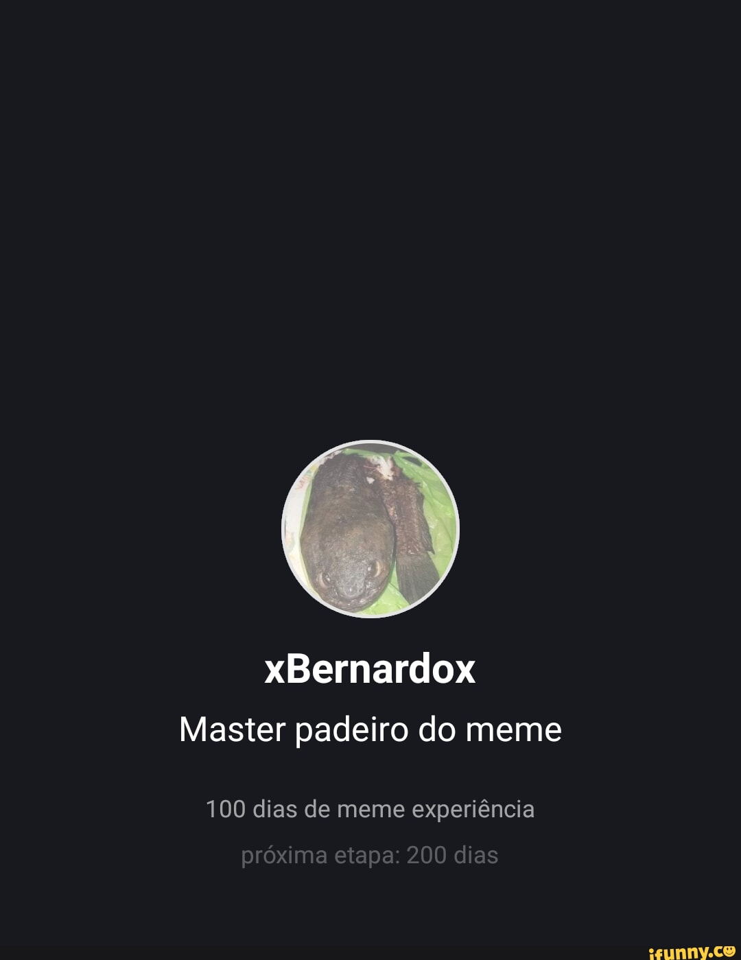 XBernardox Master padeiro do meme 100 dias de meme experiência próxima ...