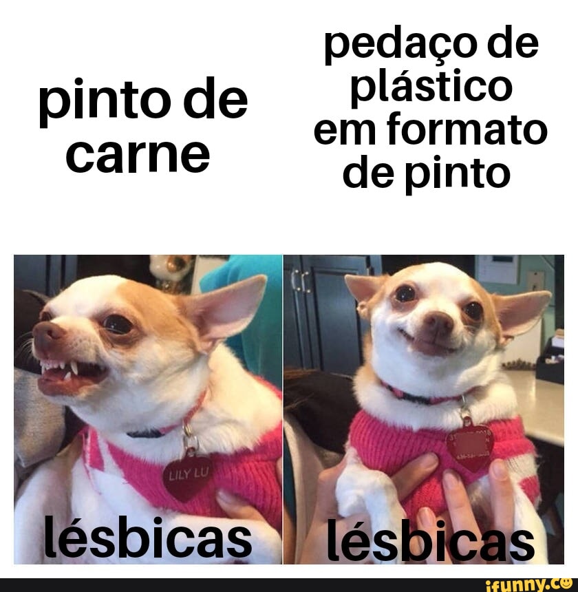 Pedaço de plástico em formato carne de pinto lés - iFunny Brazil