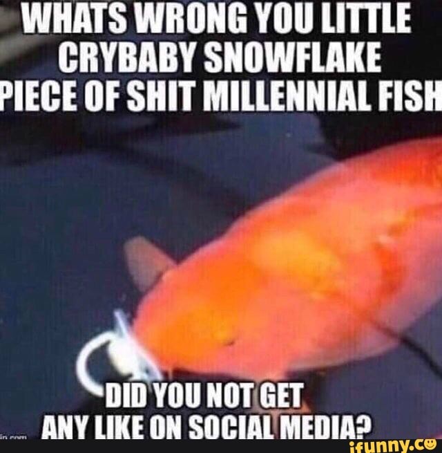 WHATS WRONG YOU LITTLE CRYBABY SNOWFLAKE PIECE OF SHIT MILLENNIAL FISH ...