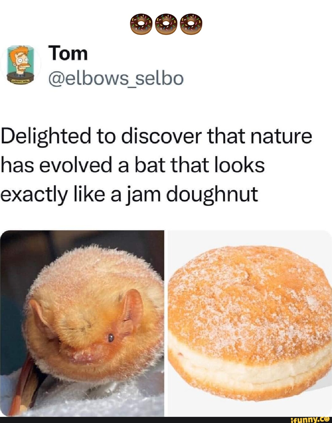 Tom tes) @elbows selbo Delighted to discover that nature has evolved a ...