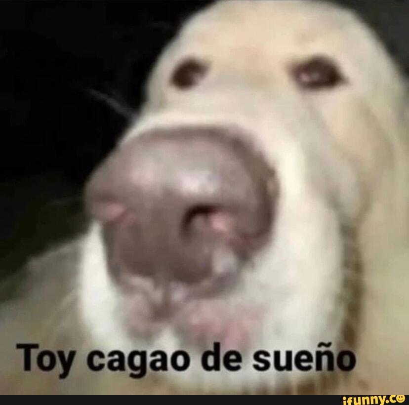 Cagão de sueho - iFunny Brazil