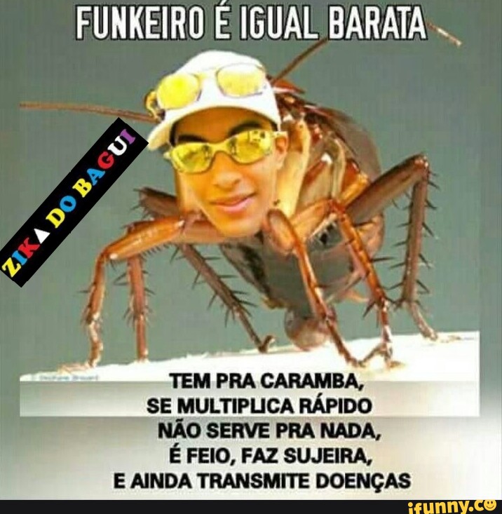 FUNKEIRO IGUAL BARAIA I BA, PRA I SE MULTIPLICA RÁPIDO NÃO SERVE PRA ...