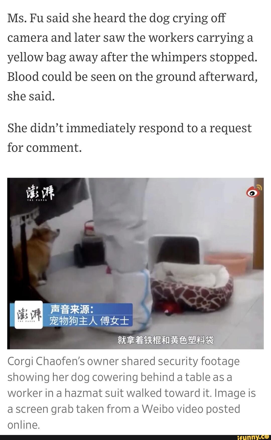 Ms. Fu said she heard the dog crying off camera and later saw the ...