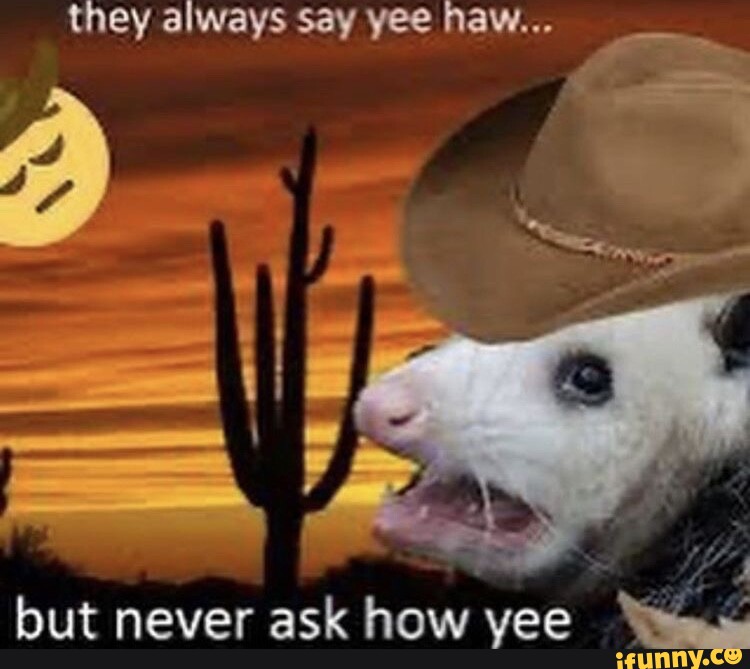 They always say yee haw... but never ask how yee me ip - iFunny Brazil