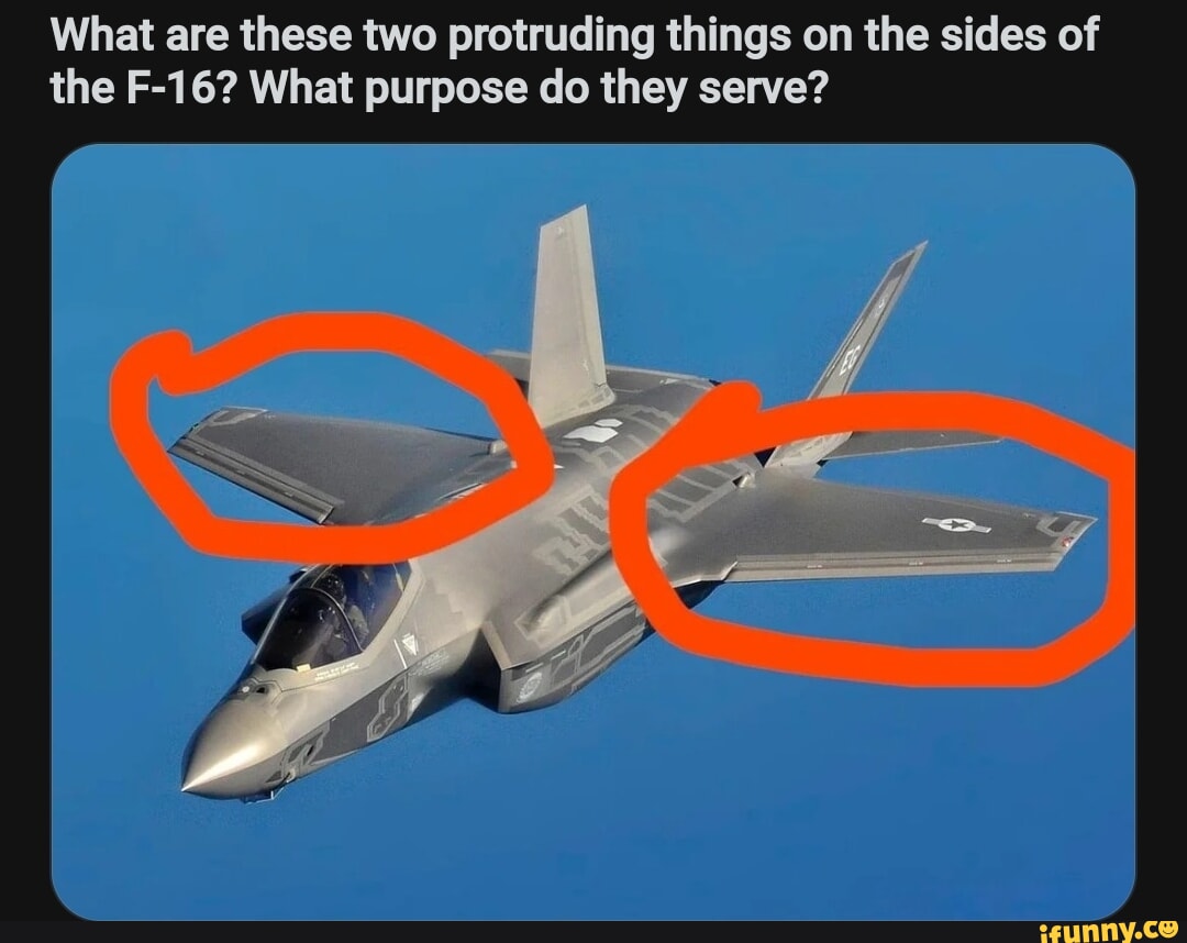 What are these two protruding things on the sides of the F-16? What ...