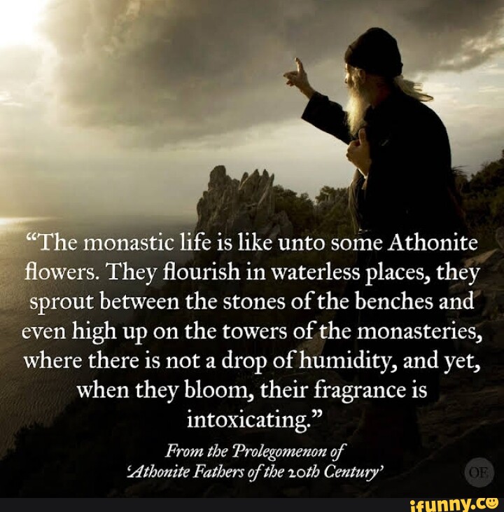 The monastic life is like unto some Athonite flowers. They flourish in ...