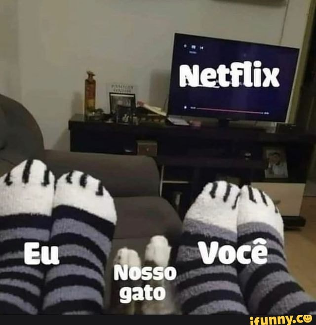 Nosso gato Netflix Voce - iFunny Brazil