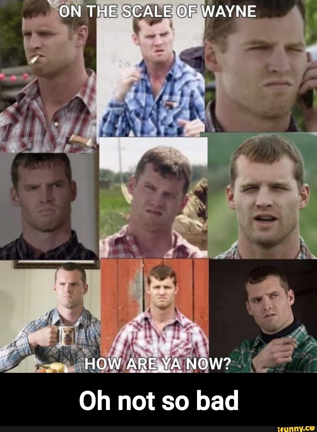 ON THE SCALE OF WAYNE HOW ARE.YA NOW? Oh not so bad - iFunny Brazil