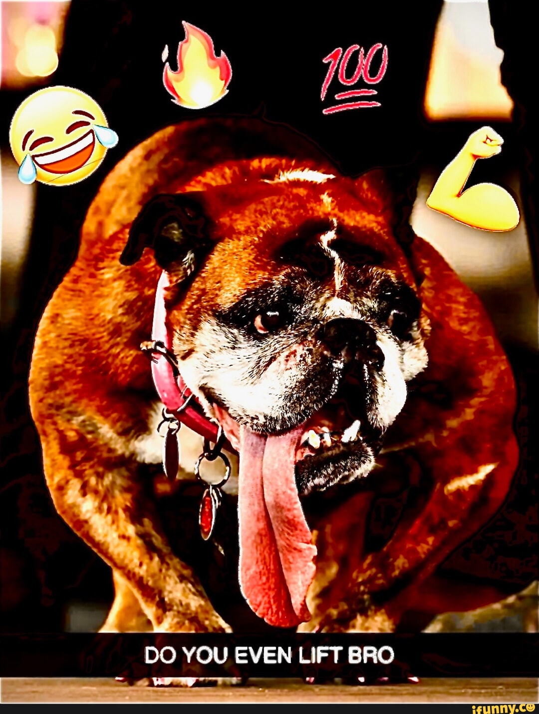 DO YOU EVEN LIFT BRO - iFunny Brazil