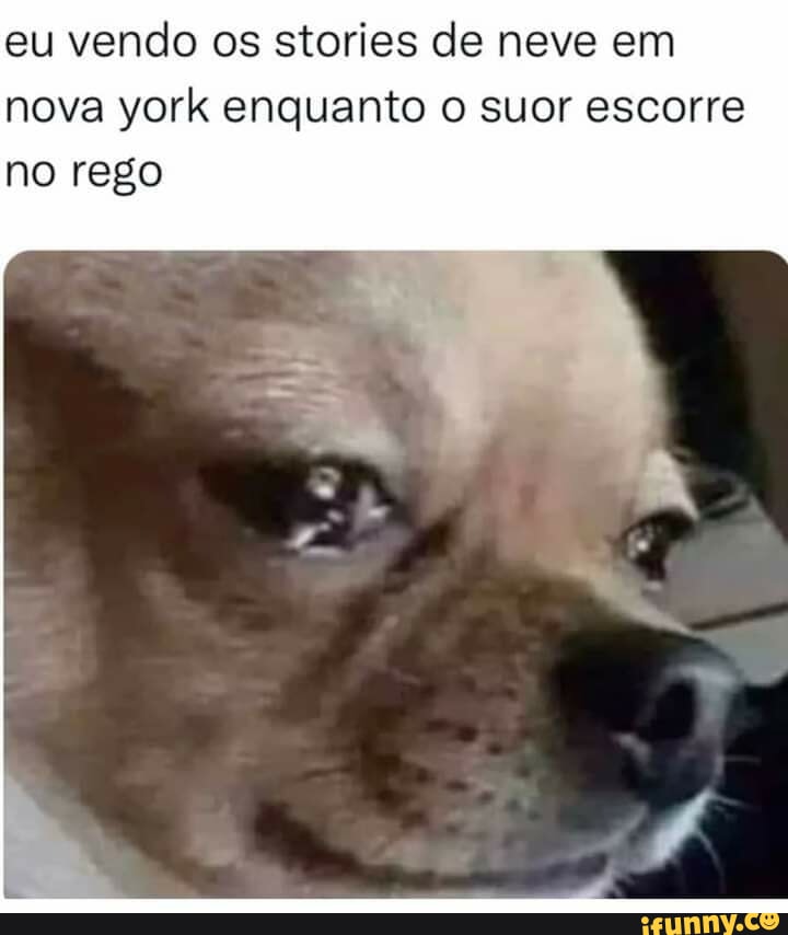Eu vendo os stories de neve em nova york enquanto o suor escorre no ...