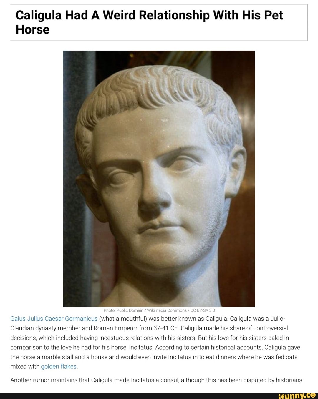 Caligula Emperor Horse