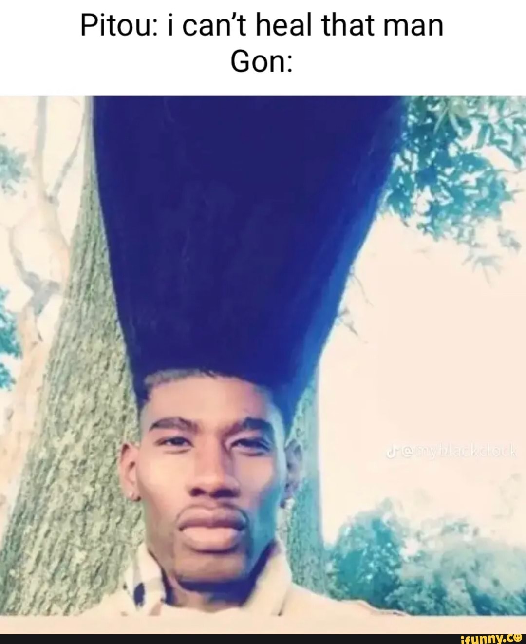 Pitou: i can't heal that man Gon: - iFunny Brazil
