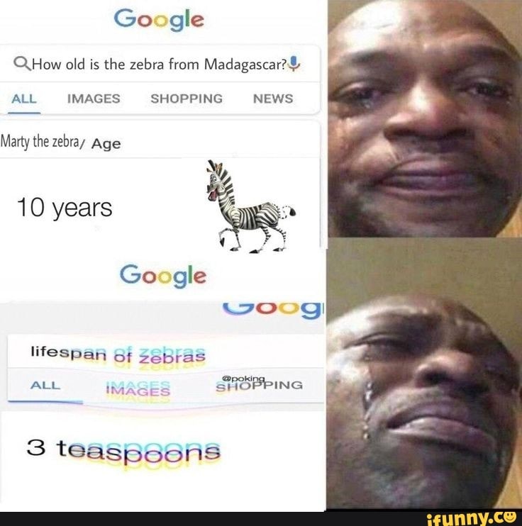 Google OQ How old is the zebra from Madagascar? ALL IMAGES SHOPPING ...