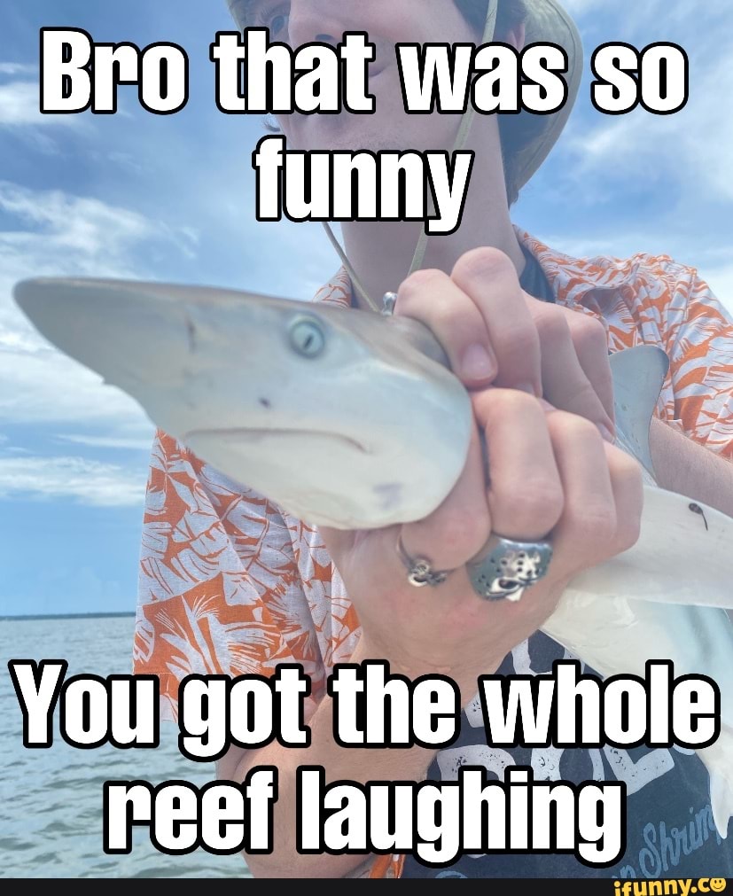 Bro that was so funny You got the whole reef laughing - iFunny Brazil