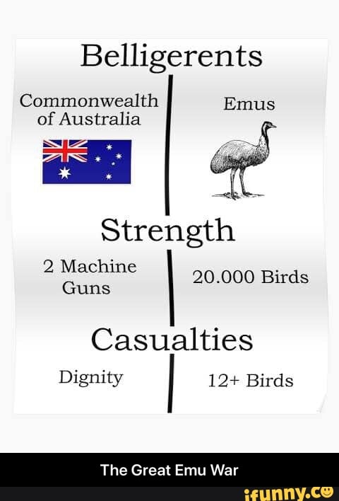 Emu Australia Meme Outlet | emergencydentistry.com
