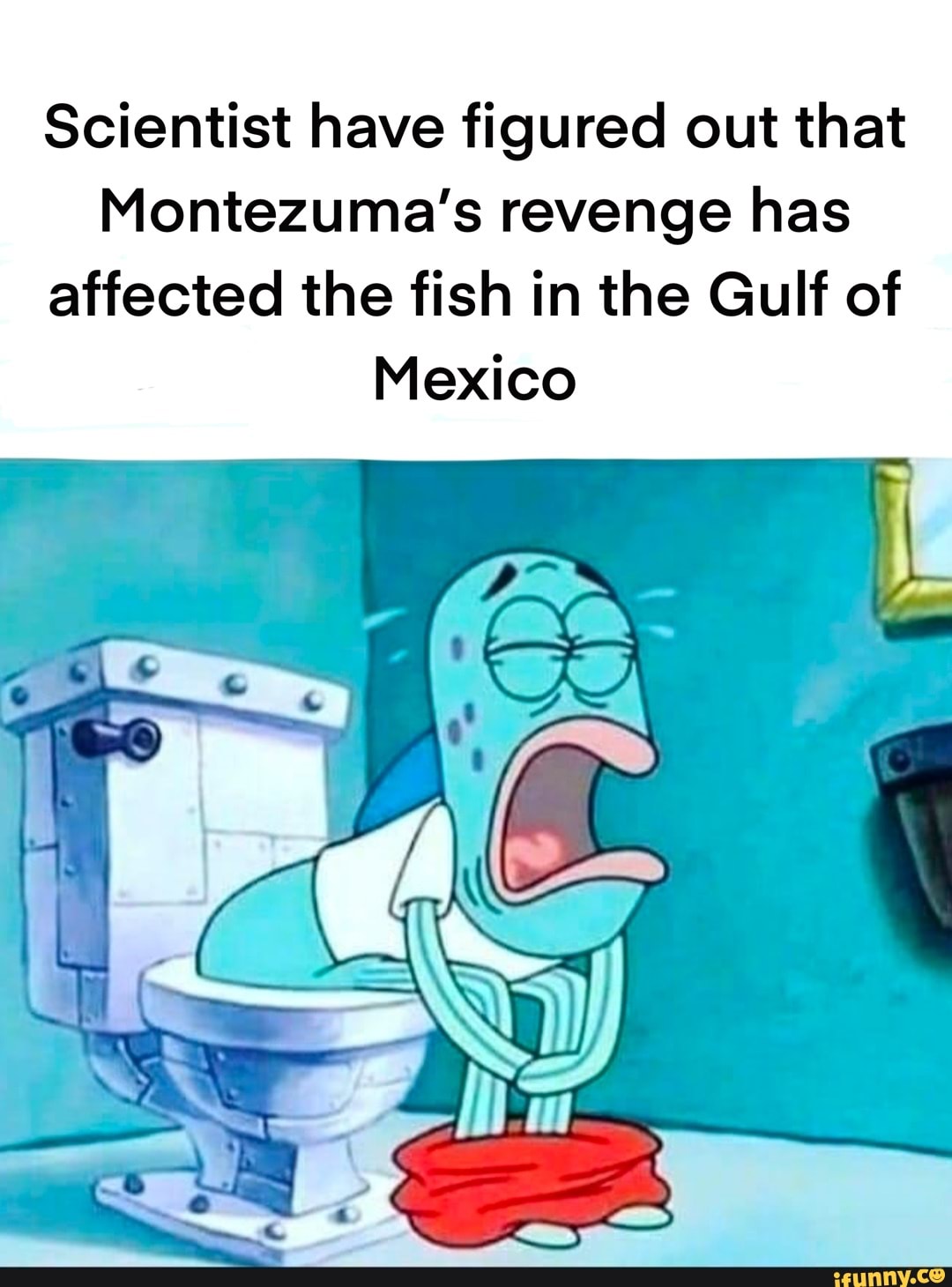 Montezumas Revenge Diarrhea