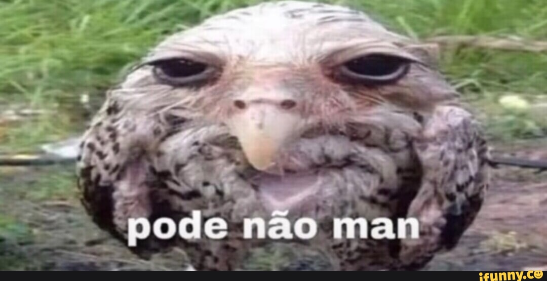Pode não man - iFunny Brazil