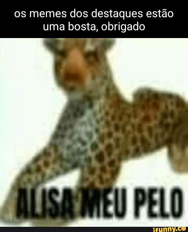 Os memes dos destaques estão uma bosta, obrigado - iFunny Brazil