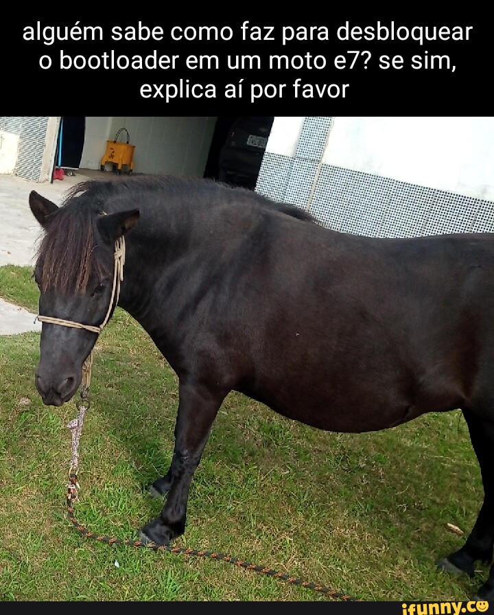 Bootloader memes. Best Collection of funny Bootloader pictures on ...