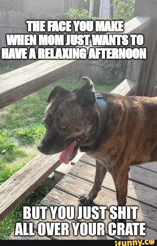 THE FACE YOU MAKE* WHEN MOM JUST WANTS HAVE RELAXING AFTERNOON BUT YOU ...