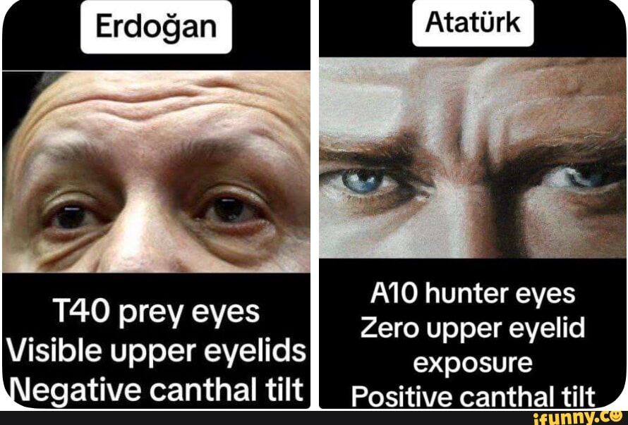 A110 hunter eyes Zero upper eyelid prey eyes Visible upper eyelids ...