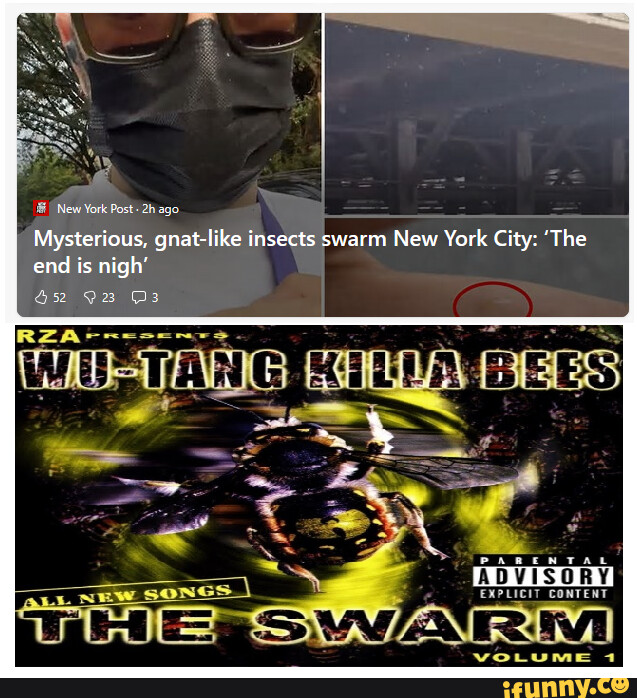 New York Post ago Mysterious, gnat-like insects swarm New York City ...