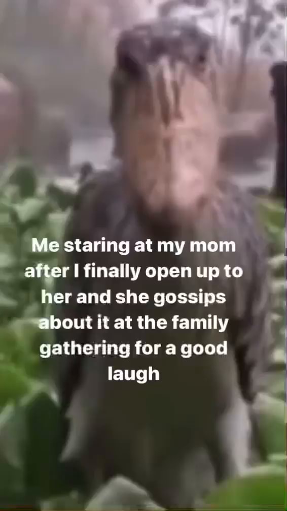 Stare Mom Meme