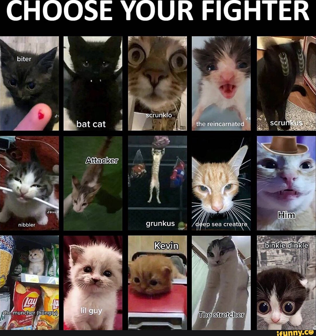 CHOOSE YOUR FIGHTER I bite serunklo bat cat Attacker qrunkus Kevin lil ...