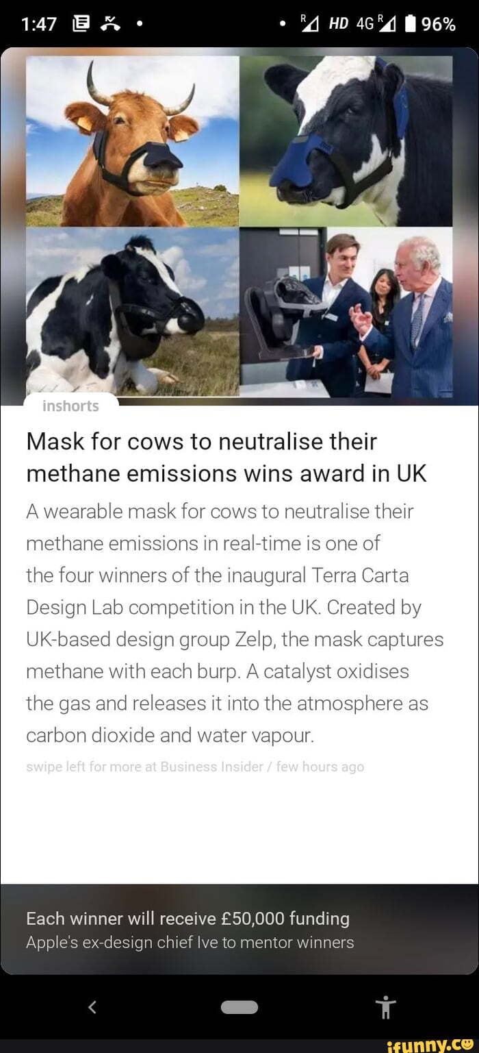 47 96% Mask for cows to neutralise their methane emissions wins award ...