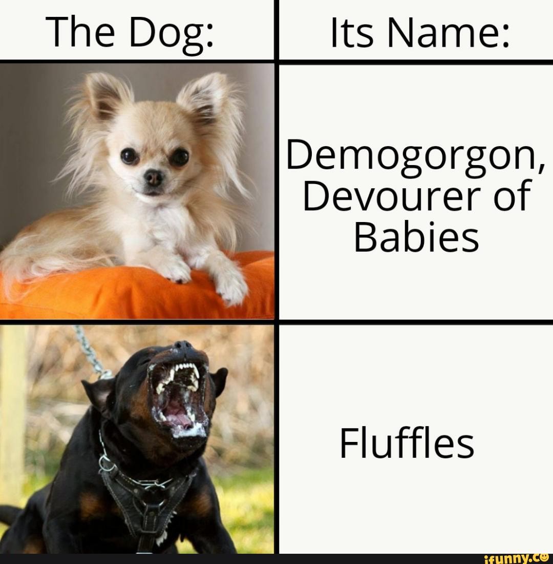 The Dog: Its Name: Demogorgon, Devourer of Babies Fluffles - iFunny Brazil