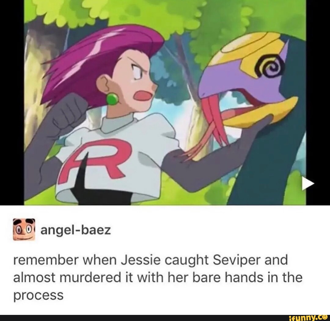 Seviper And Zangoose Funny