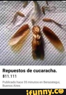 Cucaracha memes. Best Collection of funny Cucaracha pictures on iFunny ...