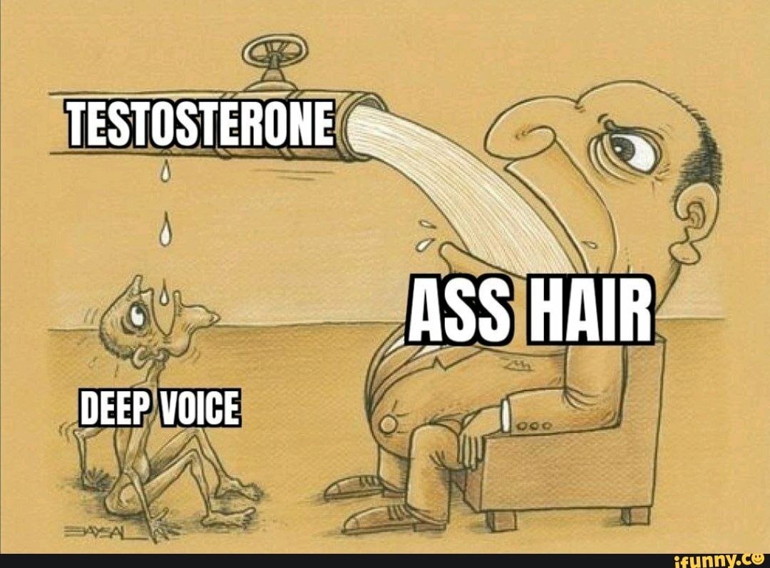 Testosterone memes. Best Collection of funny Testosterone pictures on ...