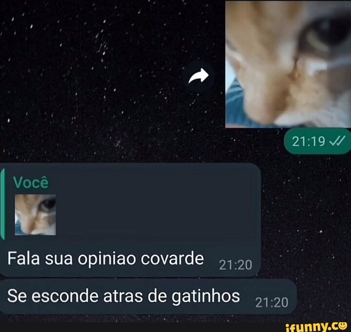 Você Na Fala sua opiniao covarde ,.50 Se esconde atras de gatinhos ,4. ...
