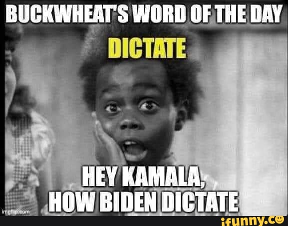 BUCKWHEAT'S WORD OF THE BAY DICTATE. REY KAMALA. . HOW BIDEN DICTATE ...