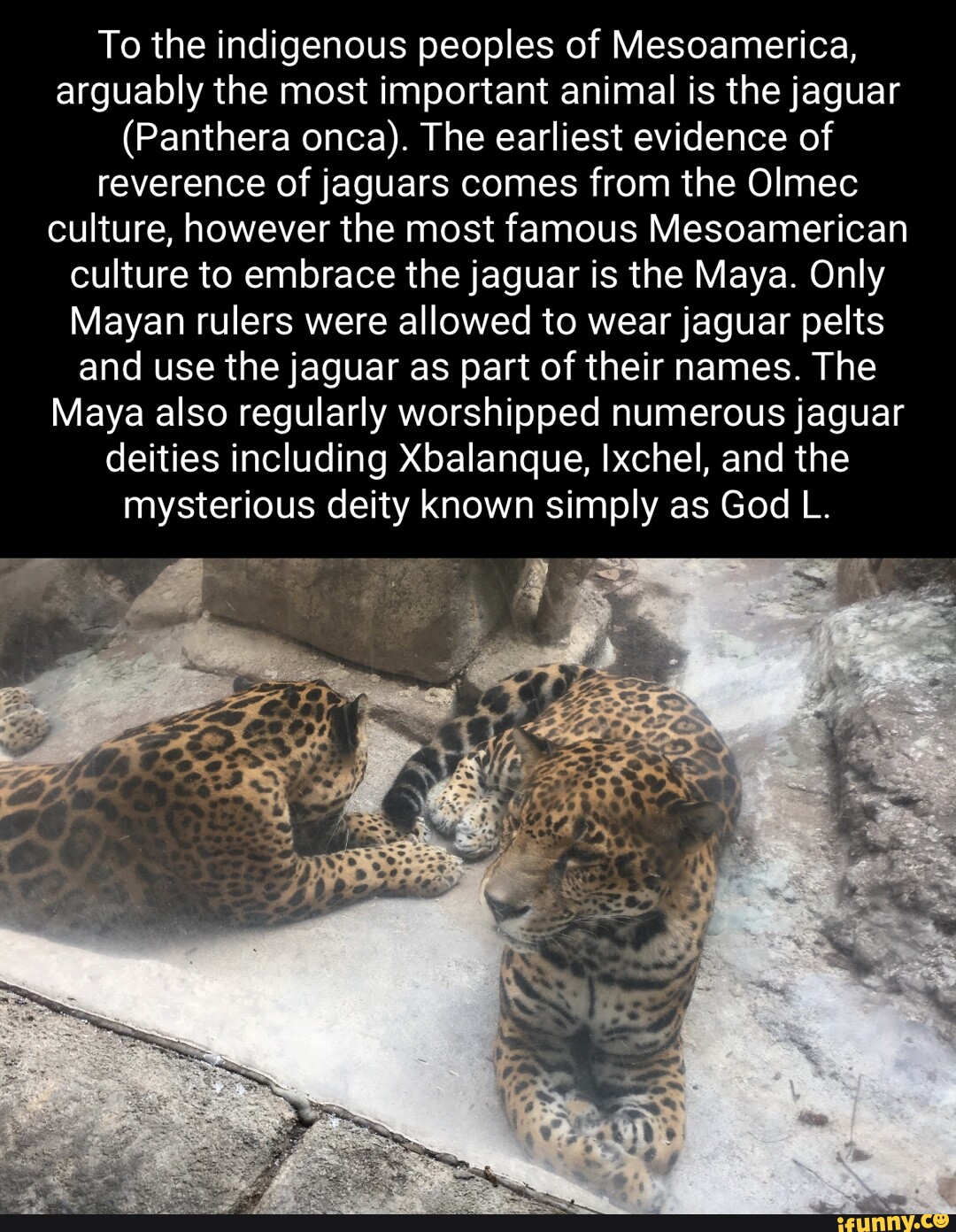 To the indigenous peoples of Mesoamerica, arguably the most important ...