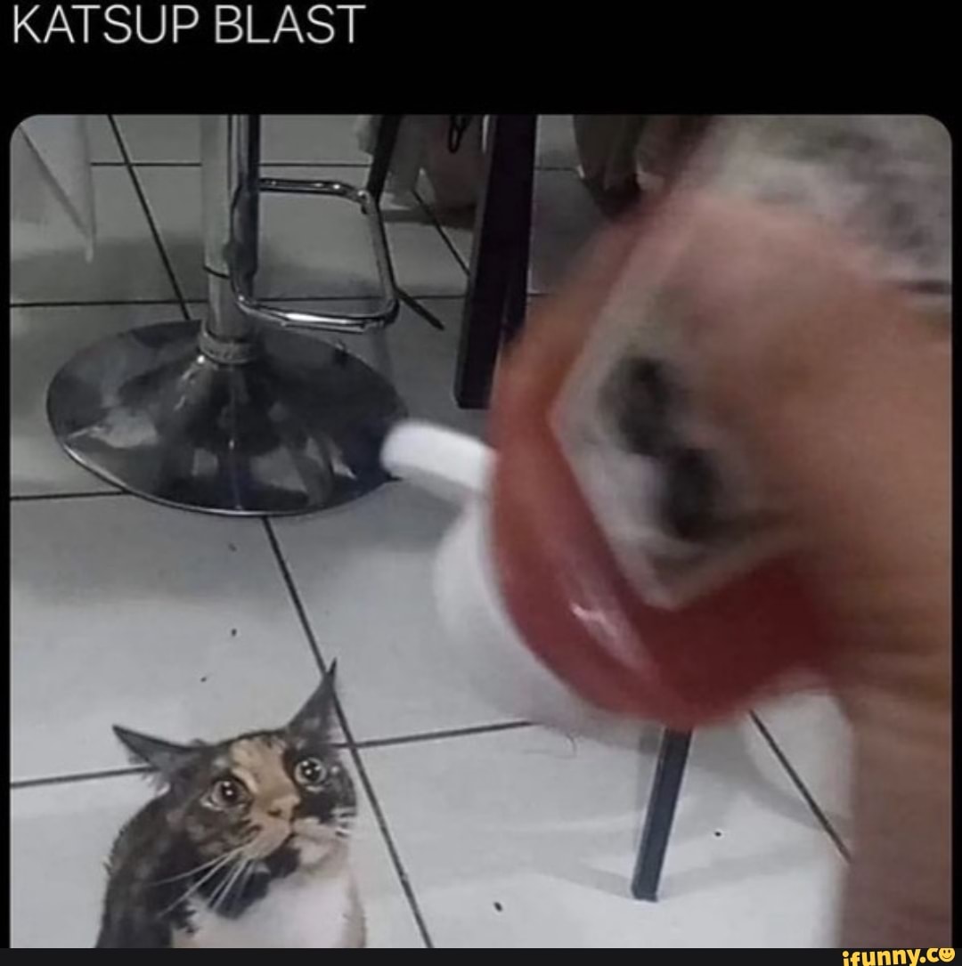 KATSUP BLAST - iFunny Brazil