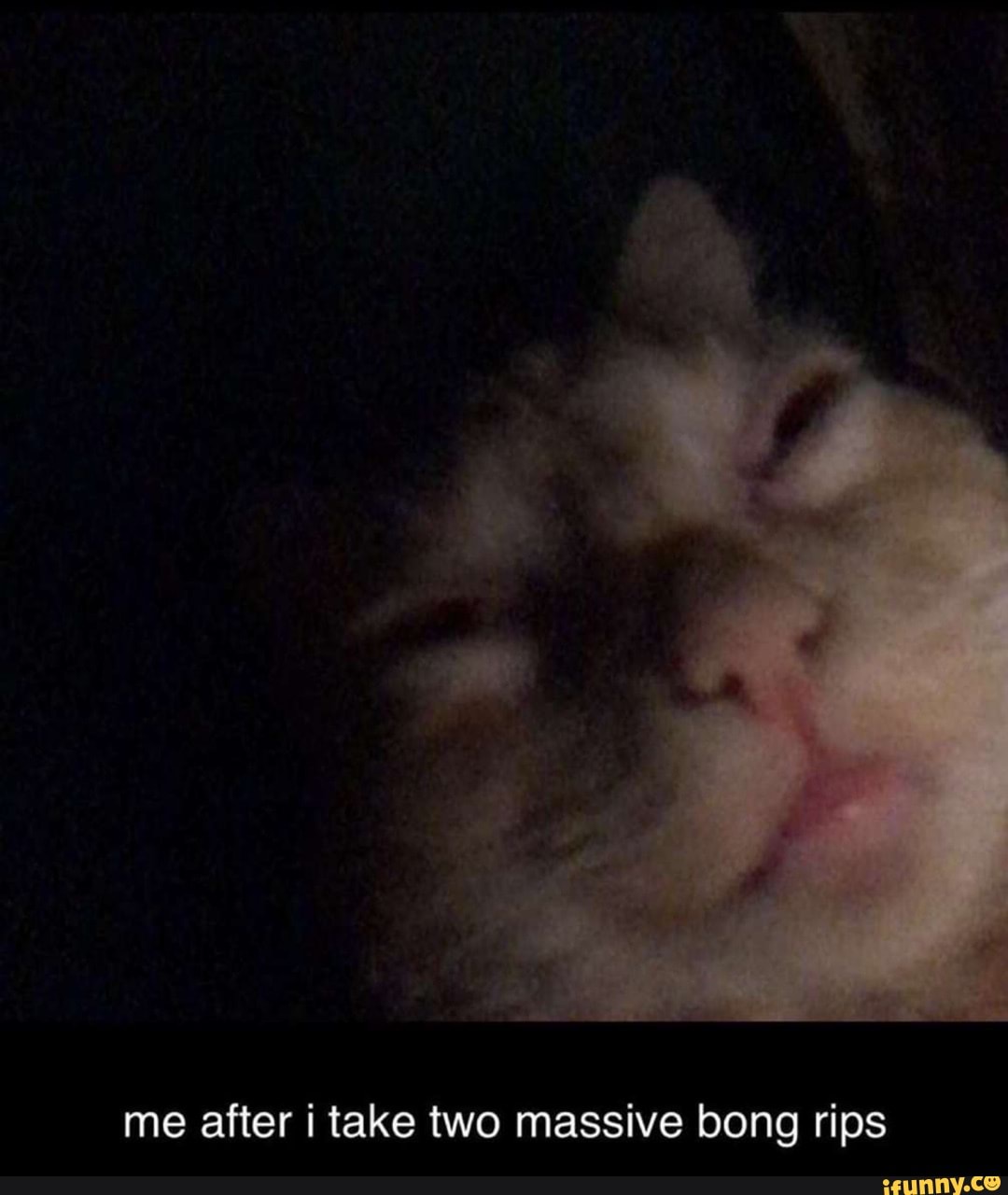 Me after i take two massive bong rips - iFunny Brazil