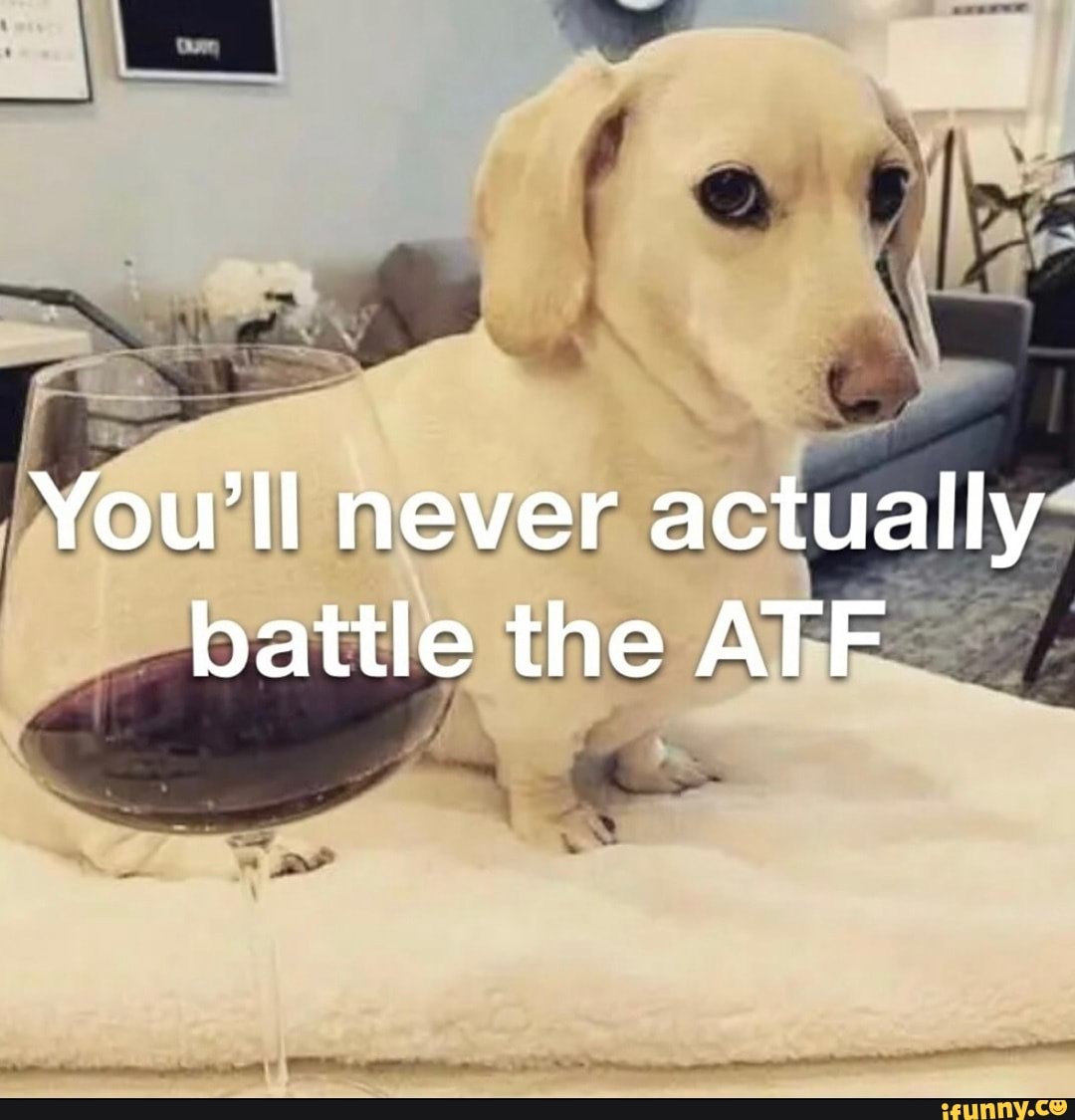You'll never actually battle the ATF - iFunny Brazil