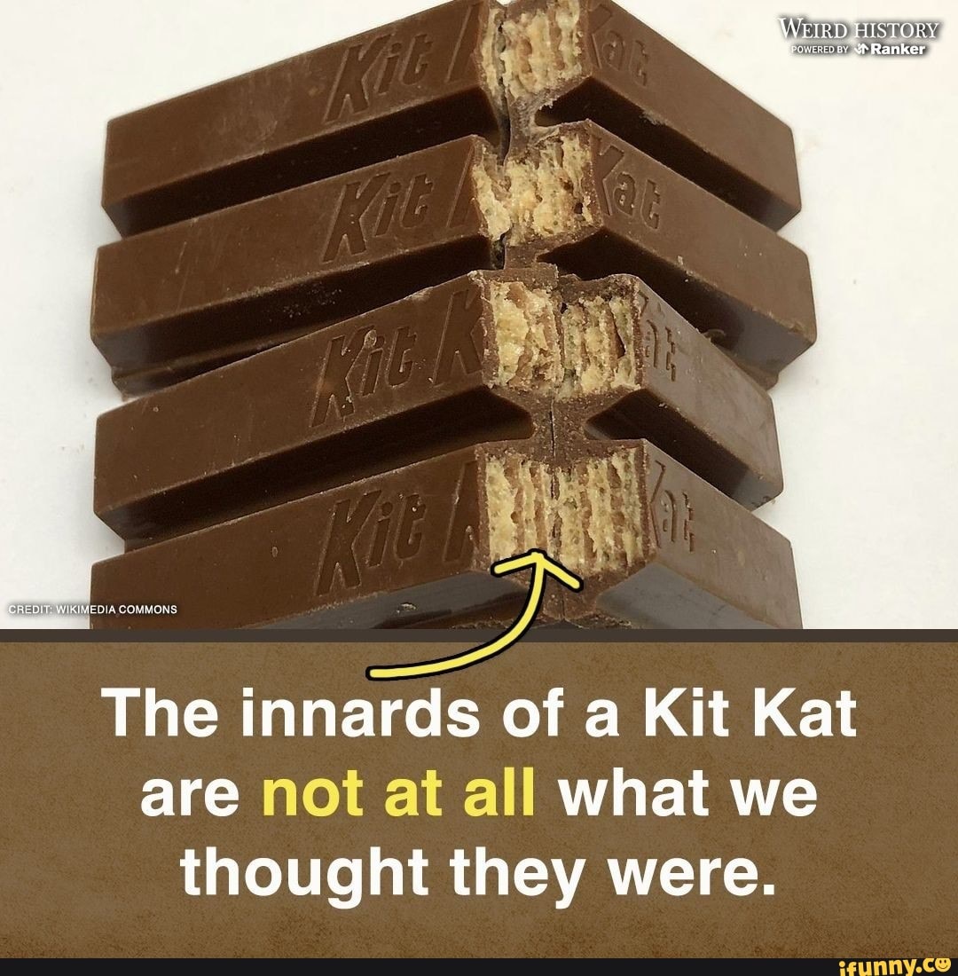POWERED Ra The innards of a Kit Kat are not at all what we thought they ...