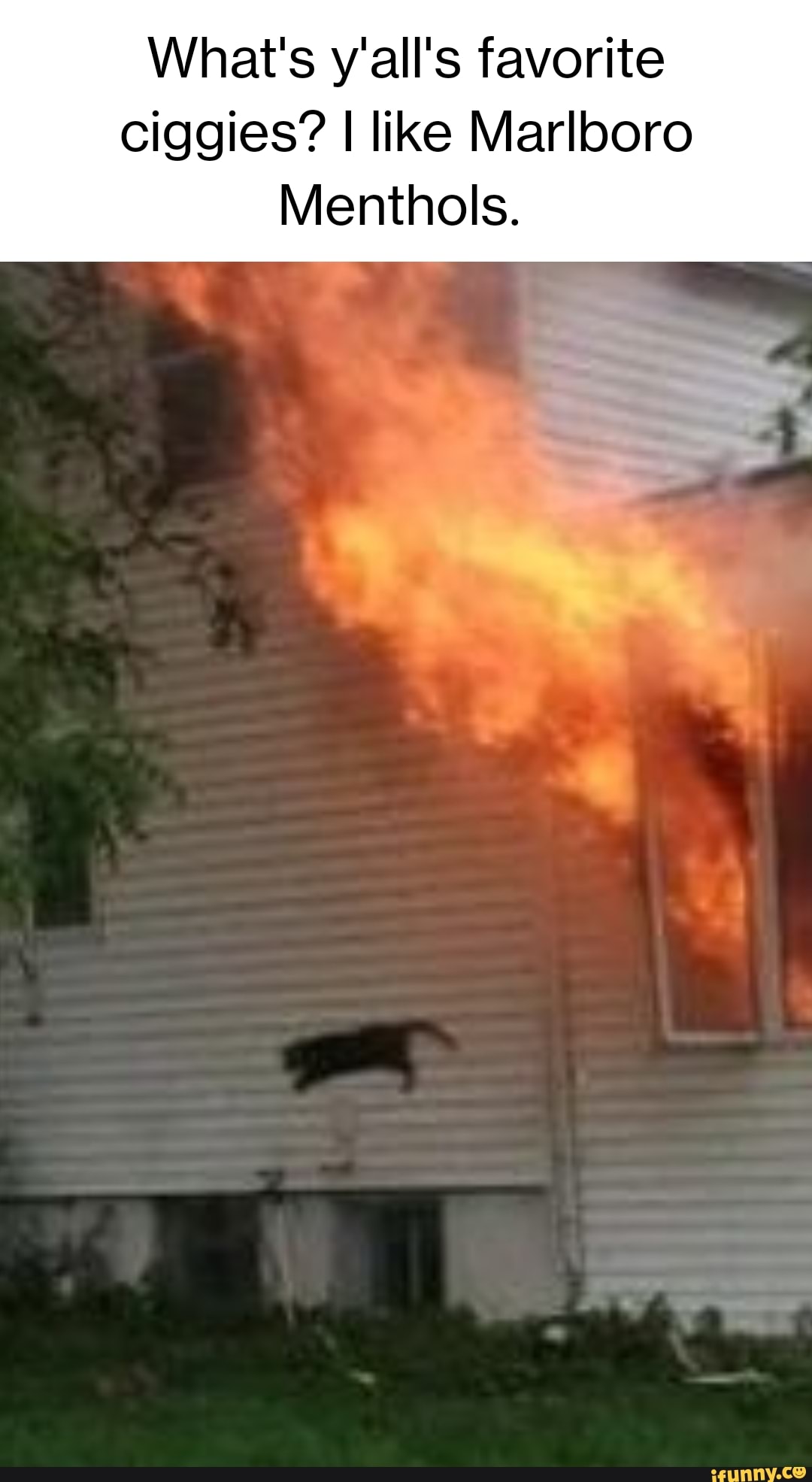 What's y'all's favorite ciggies? I like Marlboro Menthols. - iFunny Brazil