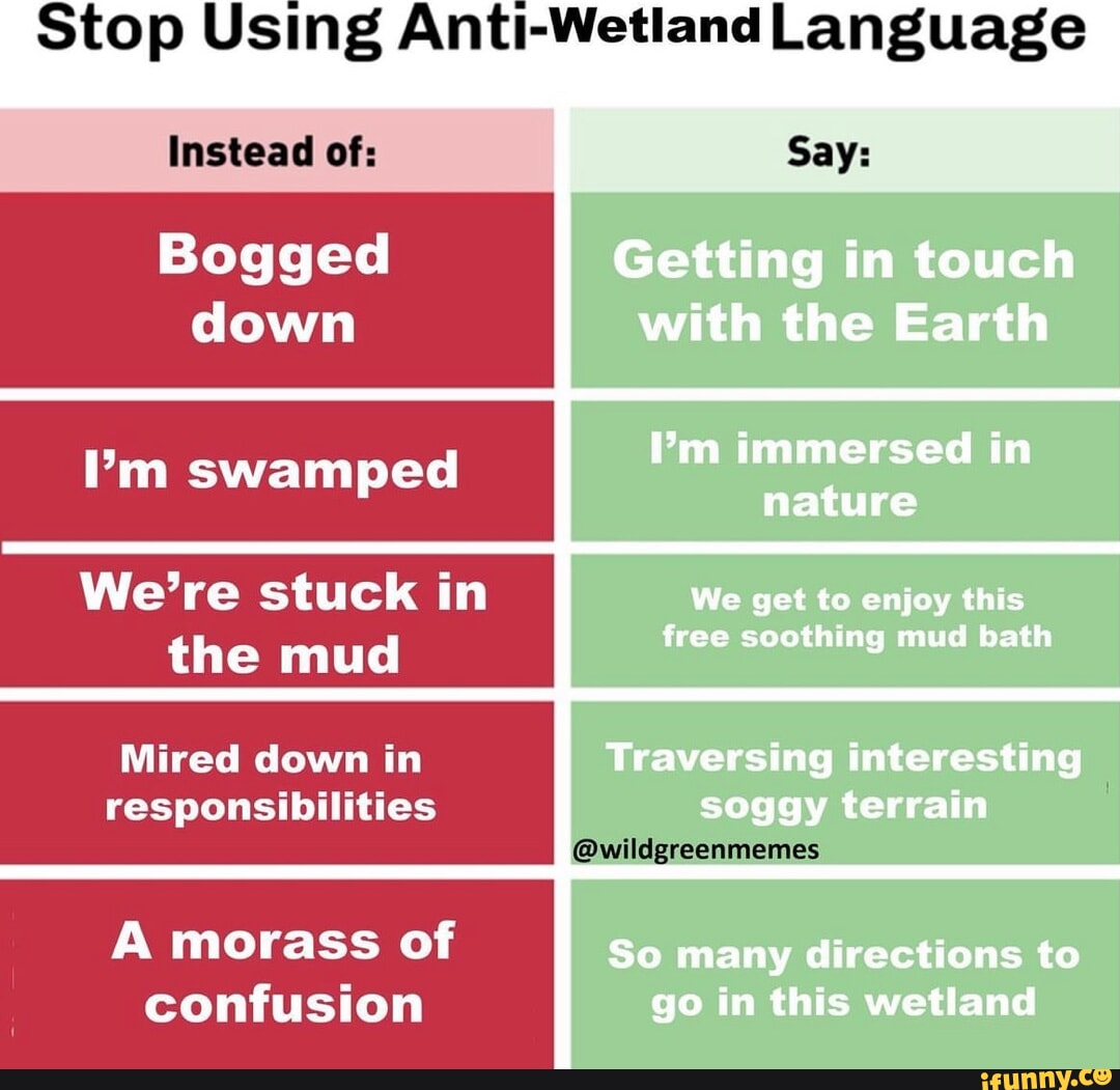 Stop Using Language Instead of: Say: Bogged down Getting in touch with ...