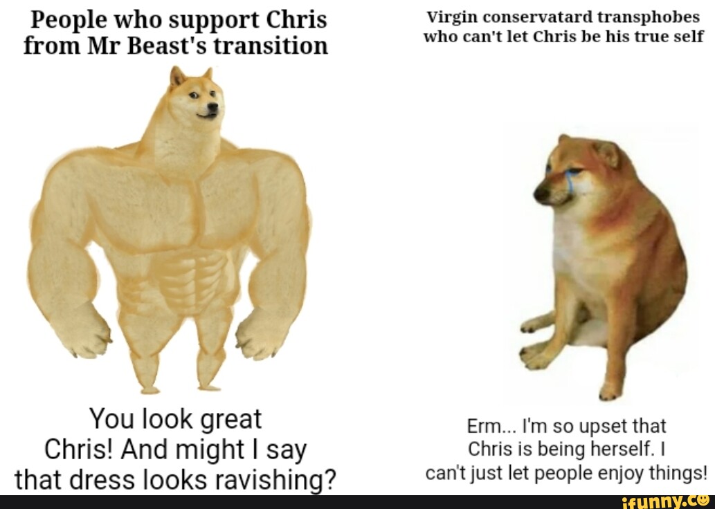 People who support Chris from Mr Beast's transition You look great ...